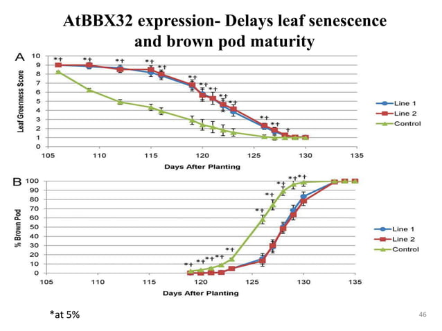 B-box proteins in plants bbx family of plant transcription factors | PPTX