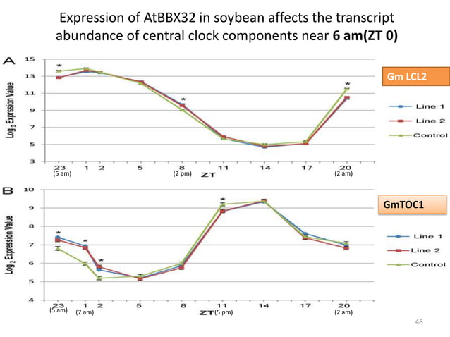 B-box proteins in plants bbx family of plant transcription factors | PPTX