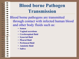 Blood borne Pathogens | PDF