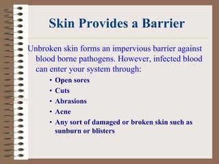 Blood borne Pathogens | PDF