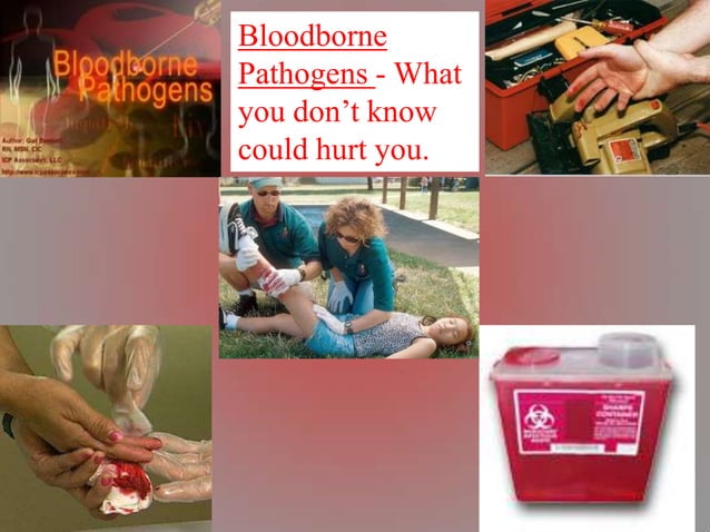 Bloodborne Pathogen Training-Greenhill School | PPT