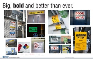 Brady BBP85 Printer Brochure | PPT