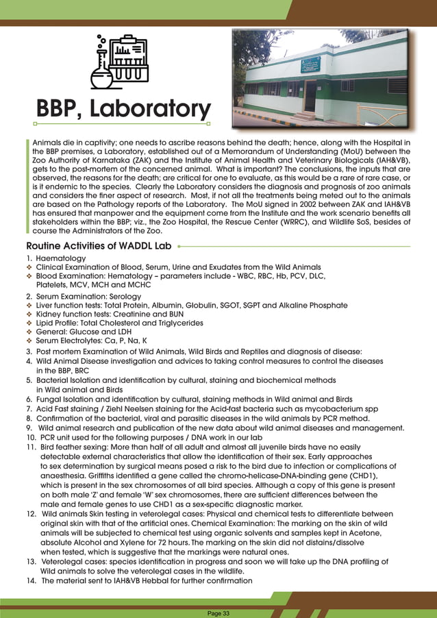 Bbp annual report 2016 2017 | PDF