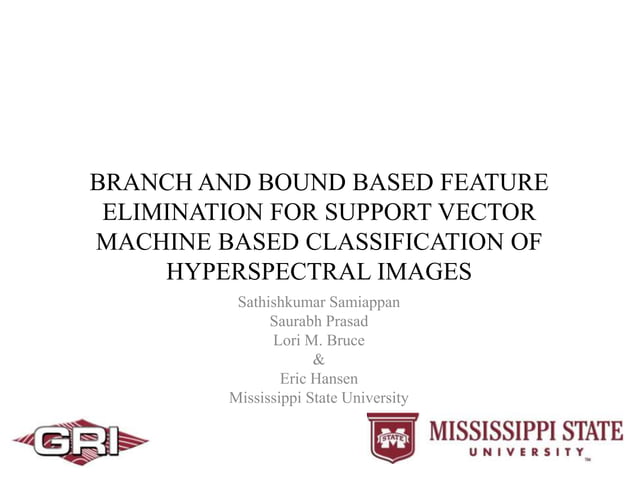 Branch and Bound Feature Selection for Hyperspectral Image Classification | PPT