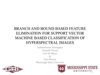 Branch and Bound Feature Selection for Hyperspectral Image Classification | PPT