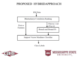Branch and Bound Feature Selection for Hyperspectral Image Classification | PPT