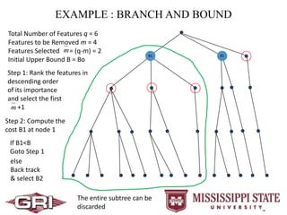 Branch and Bound Feature Selection for Hyperspectral Image Classification | PPT