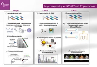 NGS Introduction and Technology Overview (UEB-UAT Bioinformatics Course - Session 2.1.1 - VHIR ...
