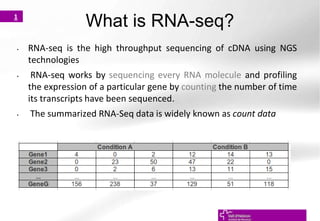 Introduction to RNA-seq and RNA-seq Data Analysis (UEB-UAT Bioinformatics Course - Session 4.1 ...