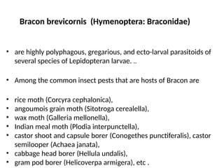 Brecon brevicornis ppt download.....pptx