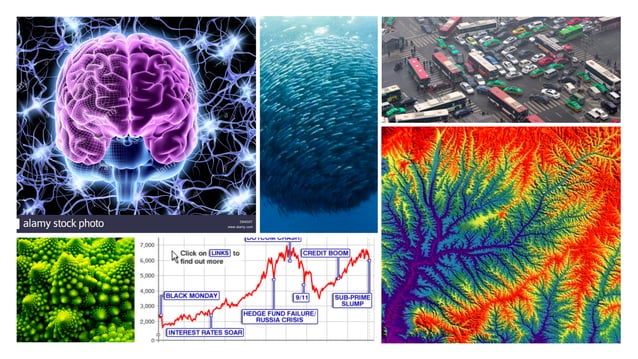 Discovering the World of Complexity | PPT