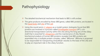 Bardet Biedl Syndrome | PPTX