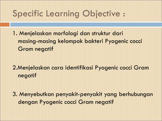 Microbiology-Pyogenic Cocci Gram Negatif | PDF