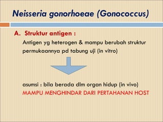 Microbiology-Pyogenic Cocci Gram Negatif | PDF