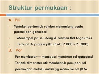 Microbiology-Pyogenic Cocci Gram Negatif | PDF