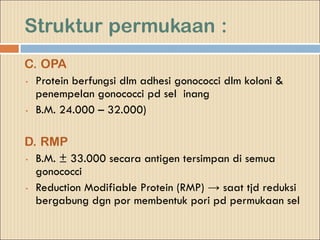 Microbiology-Pyogenic Cocci Gram Negatif | PDF