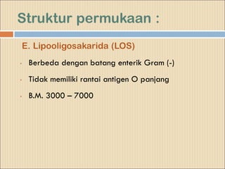 Microbiology-Pyogenic Cocci Gram Negatif | PDF