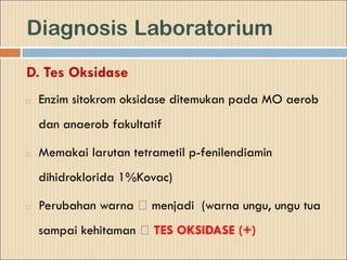 Microbiology-Pyogenic Cocci Gram Negatif | PDF