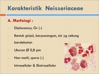 Microbiology-Pyogenic Cocci Gram Negatif | PDF