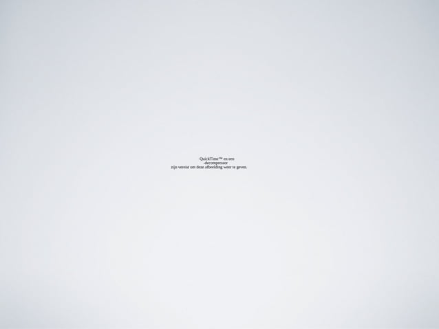 Brainbasedsafety IVM windesheim 2013 | PPT