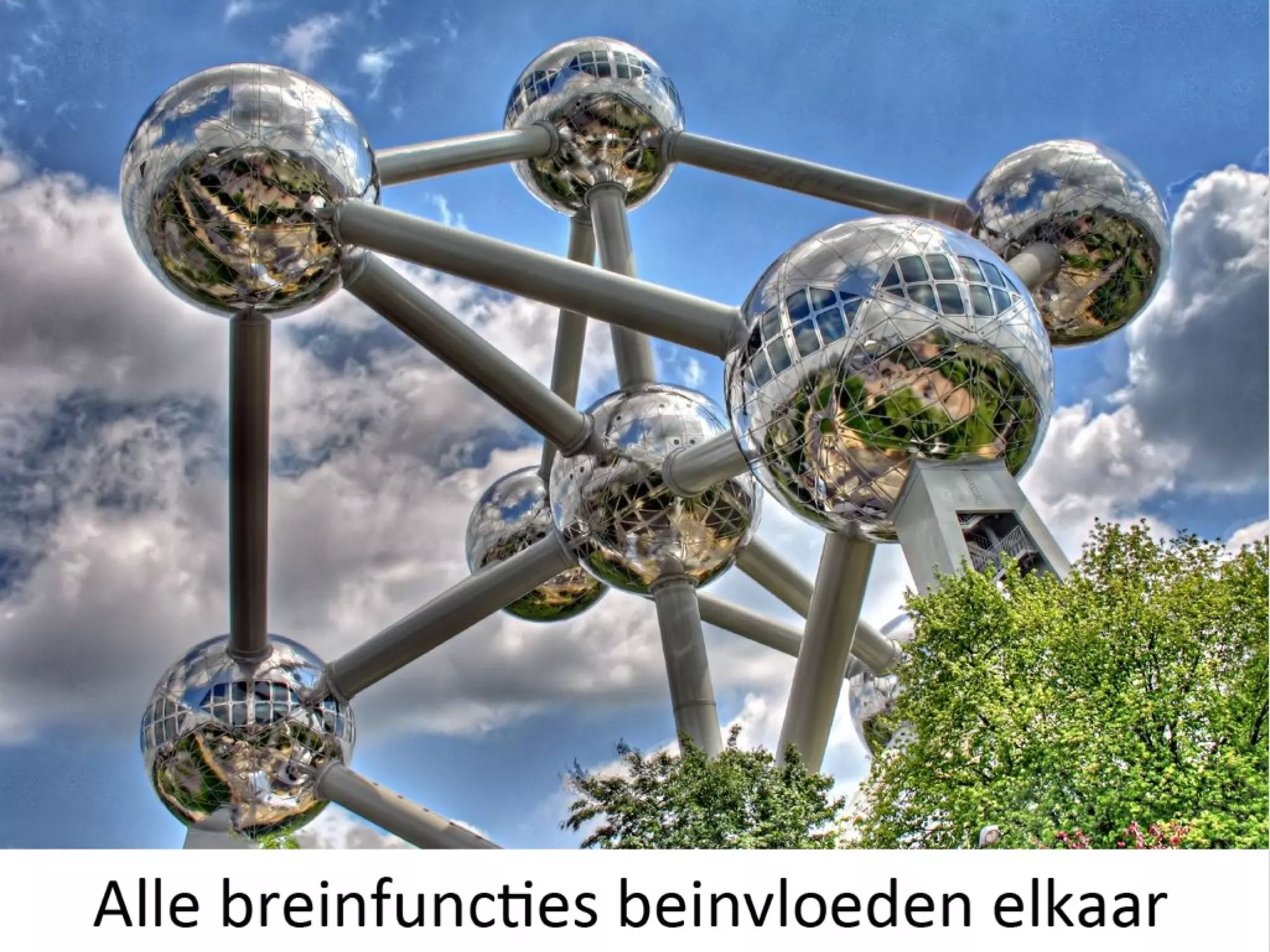 Brain Based Safety: Safety Buddy | PPT