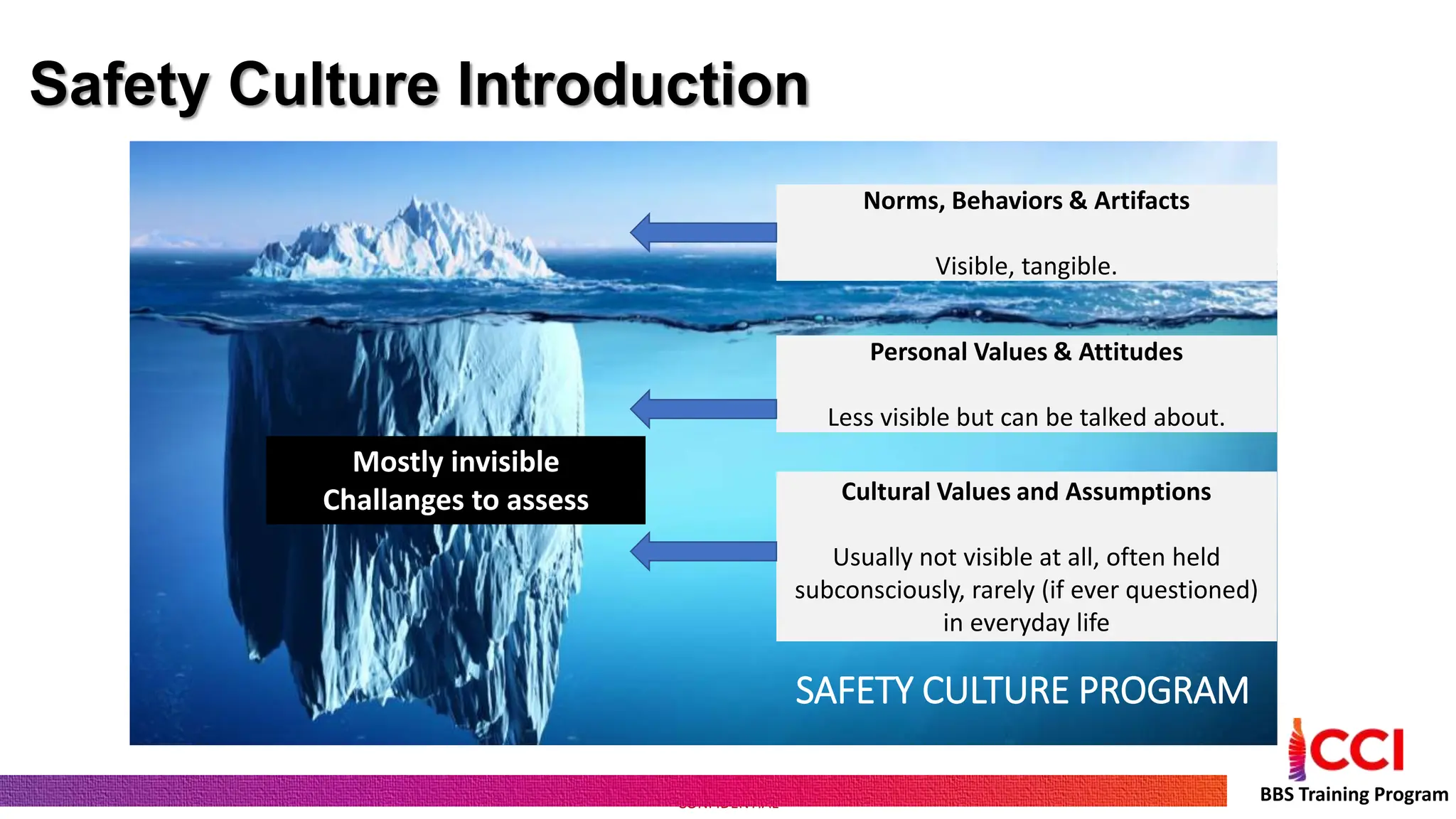 BBS Training Program system2020 CCI.pptx | Human Resources | Business