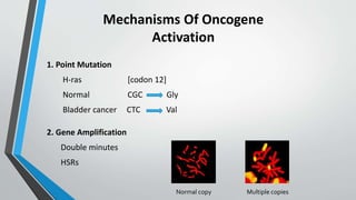 Oncogene | PPTX