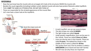 BBT 221 lecture 12 Muscular System .pptx