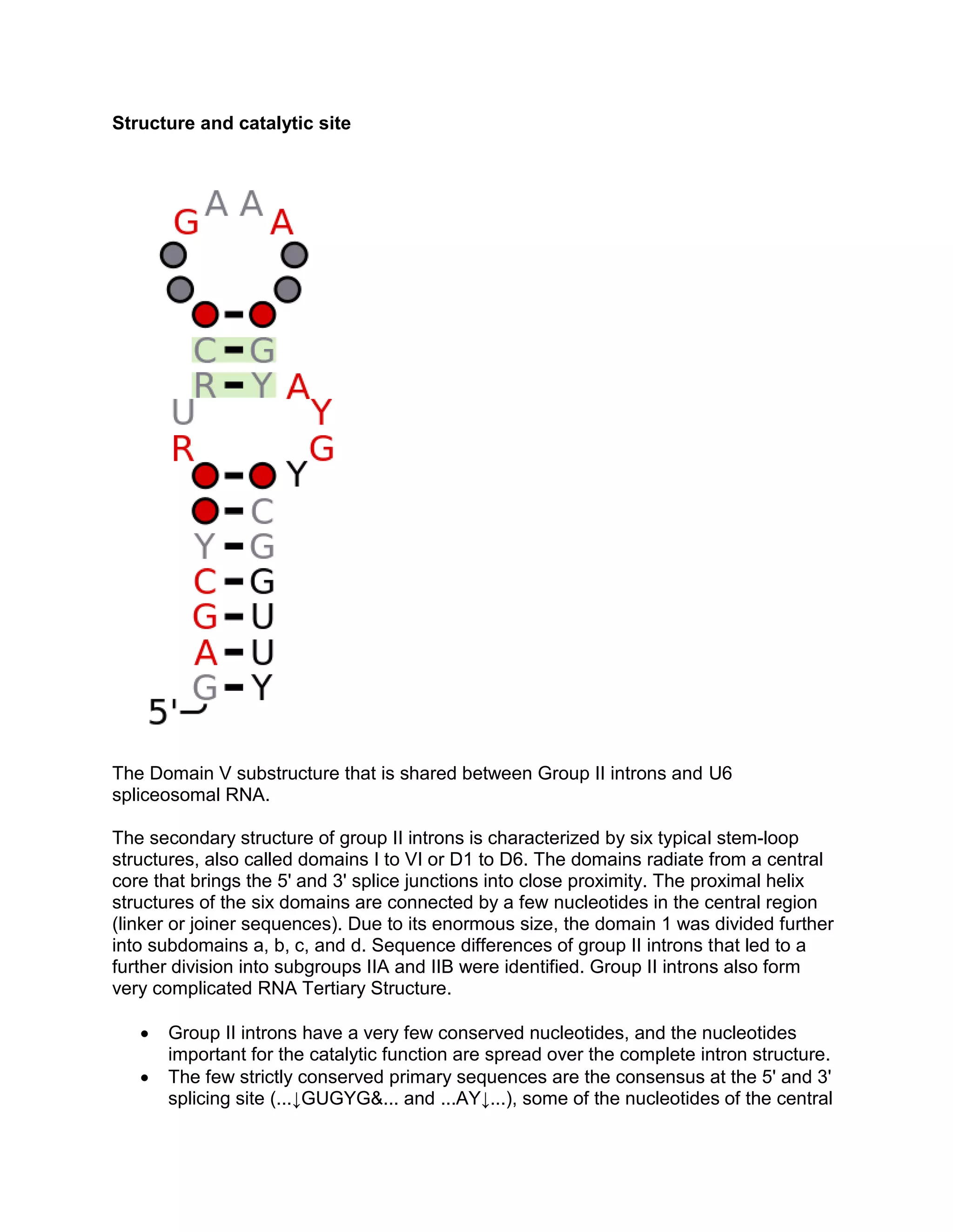 Intron and types | PDF
