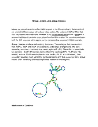 Intron and types | PDF