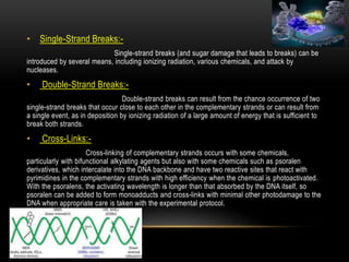 DNA REPAIR MECHANISM AND THEIR TYPES.pptx