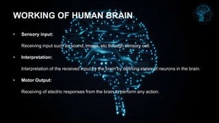 Blue Brain Technology | PPTX