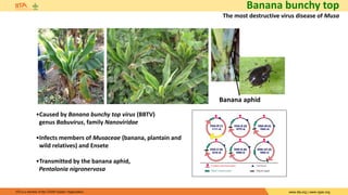Bbtv introduction lk | PDF