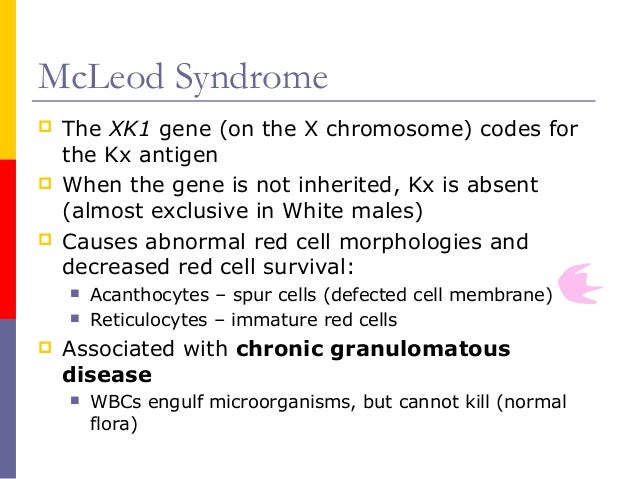 OTHER BLOOD GROUP SYSTEMS