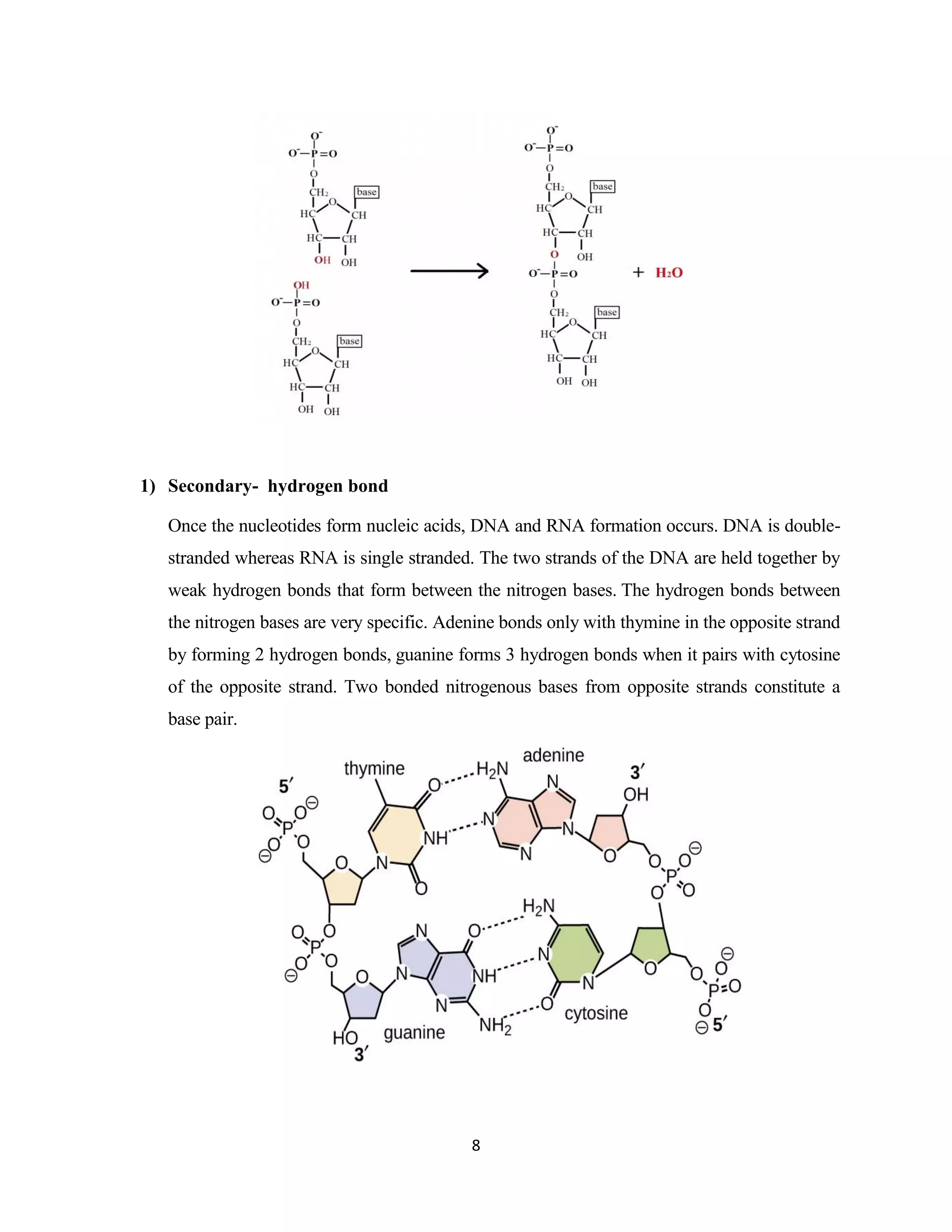 BIOCHEMISTRY | PDF