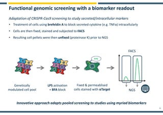 CRISPR Screening: the What, Why and How | PPTX
