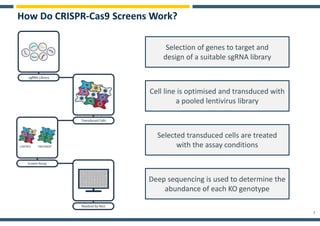 CRISPR Screening: the What, Why and How | PPTX