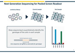 CRISPR Screening: the What, Why and How | PPTX