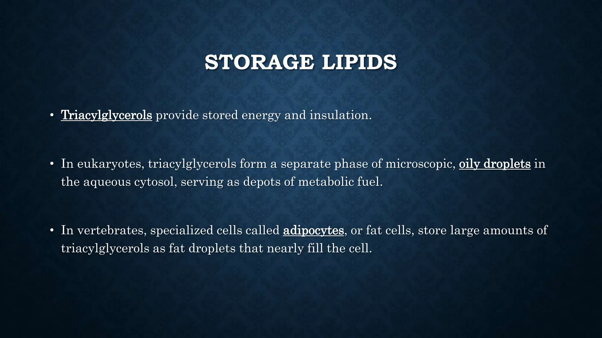 Lipids biomolecule importance of lipids | PPTX