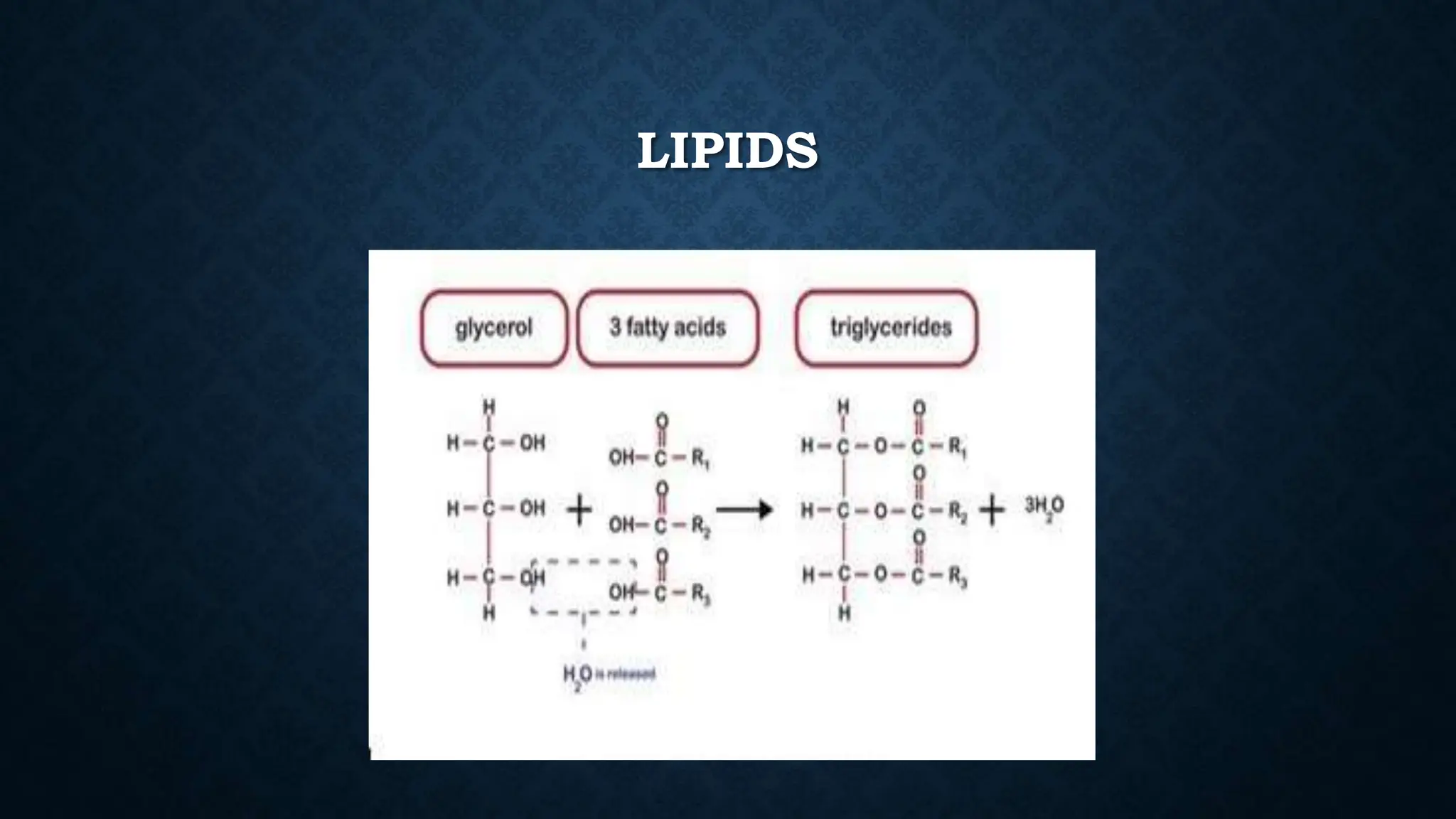 Lipids biomolecule importance of lipids | PPTX