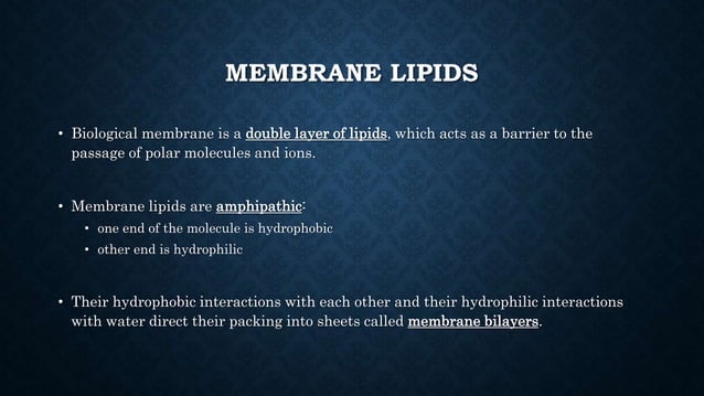 Lipids biomolecule importance of lipids | PPTX