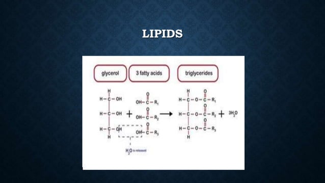 Lipids biomolecule importance of lipids | PPTX