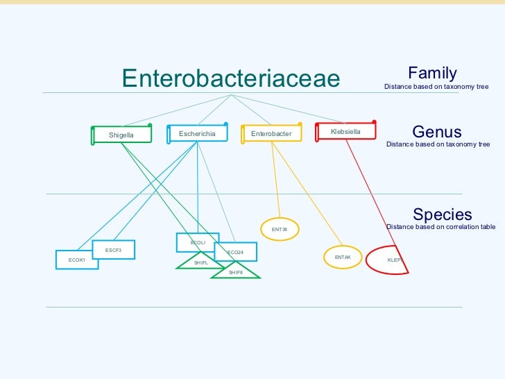 Bc2012 submission 109a