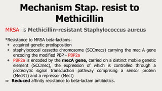 Bc2 antibiotic resistance group4 | PPT