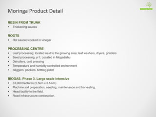 The Moringa Project v0.4.1 | PDF