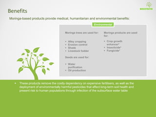 The Moringa Project v0.4.1 | PDF