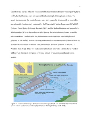 The Significance of Dam Removal in the US | PDF