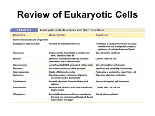 cell structure and function-cell structure and function.ppt