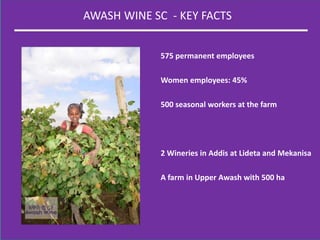 AWASH CORPORATE SHOW for Mulatu concert | PPT