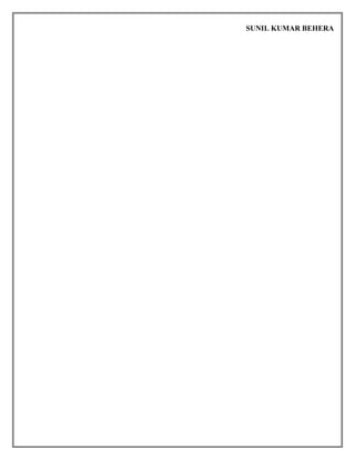 sunil resume (1) | DOC